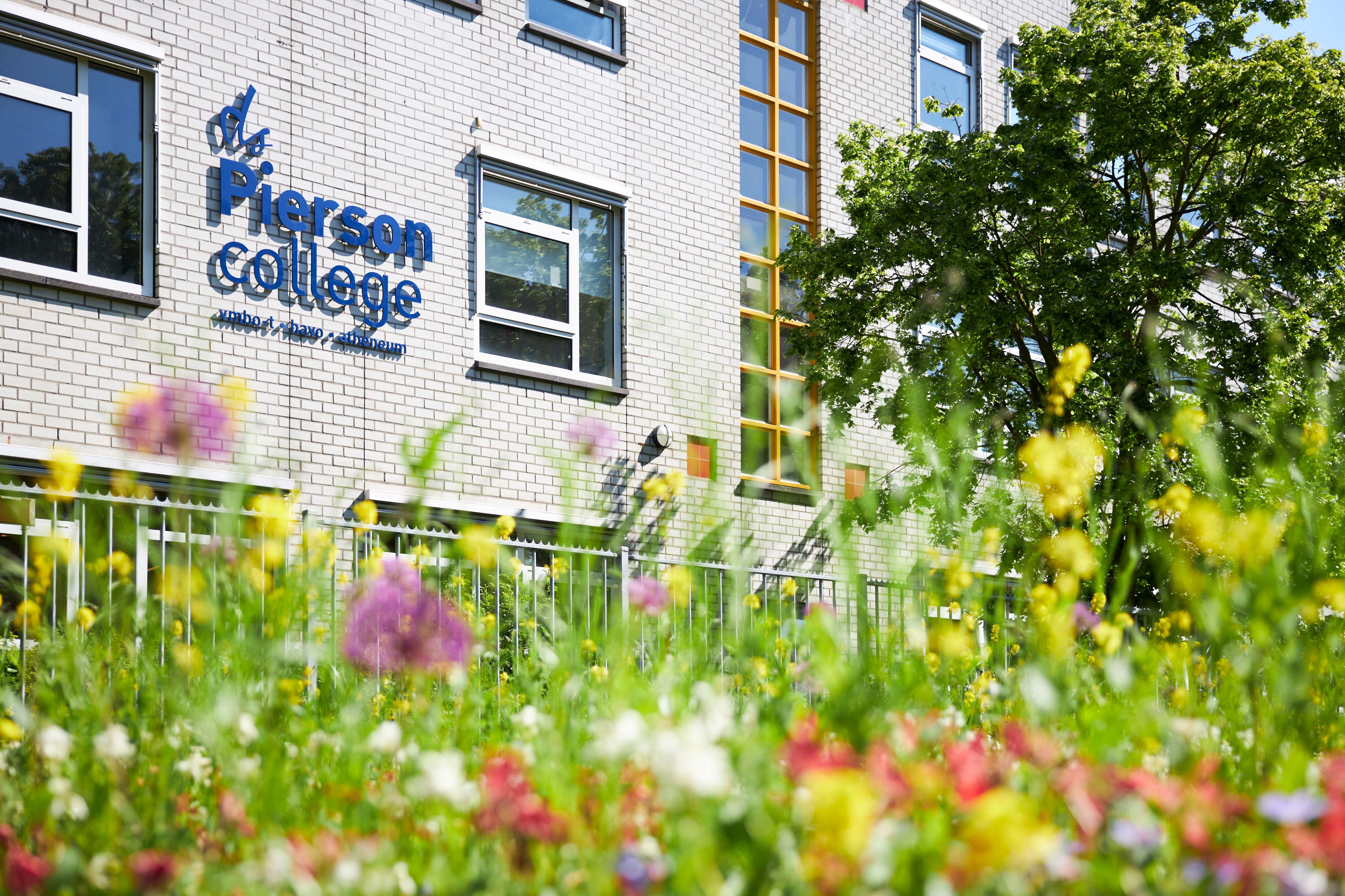 ontwikkelplatform NXT